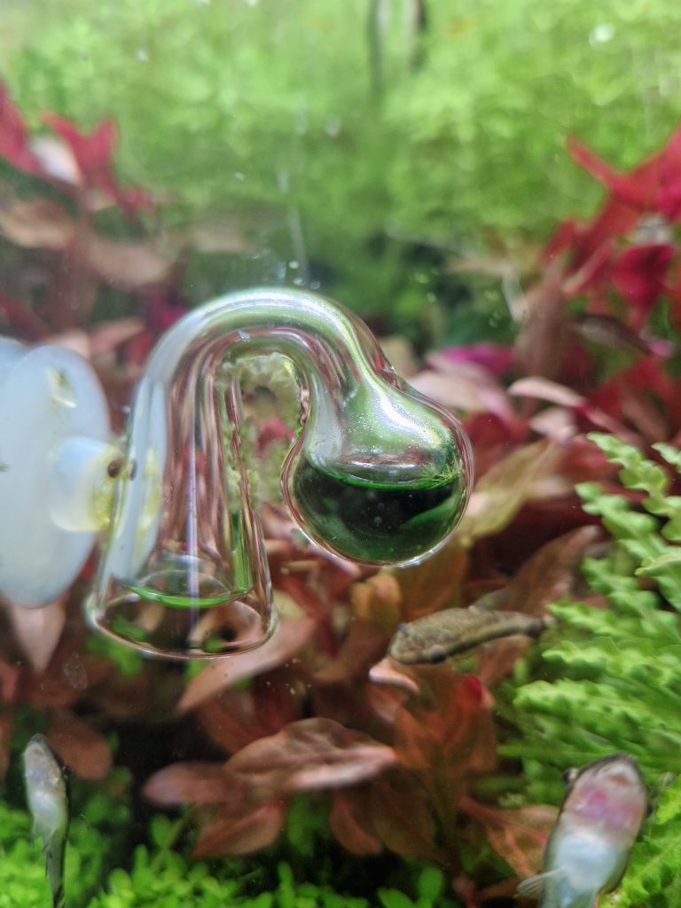 CO2 drop checker - Alles voor je aquarium